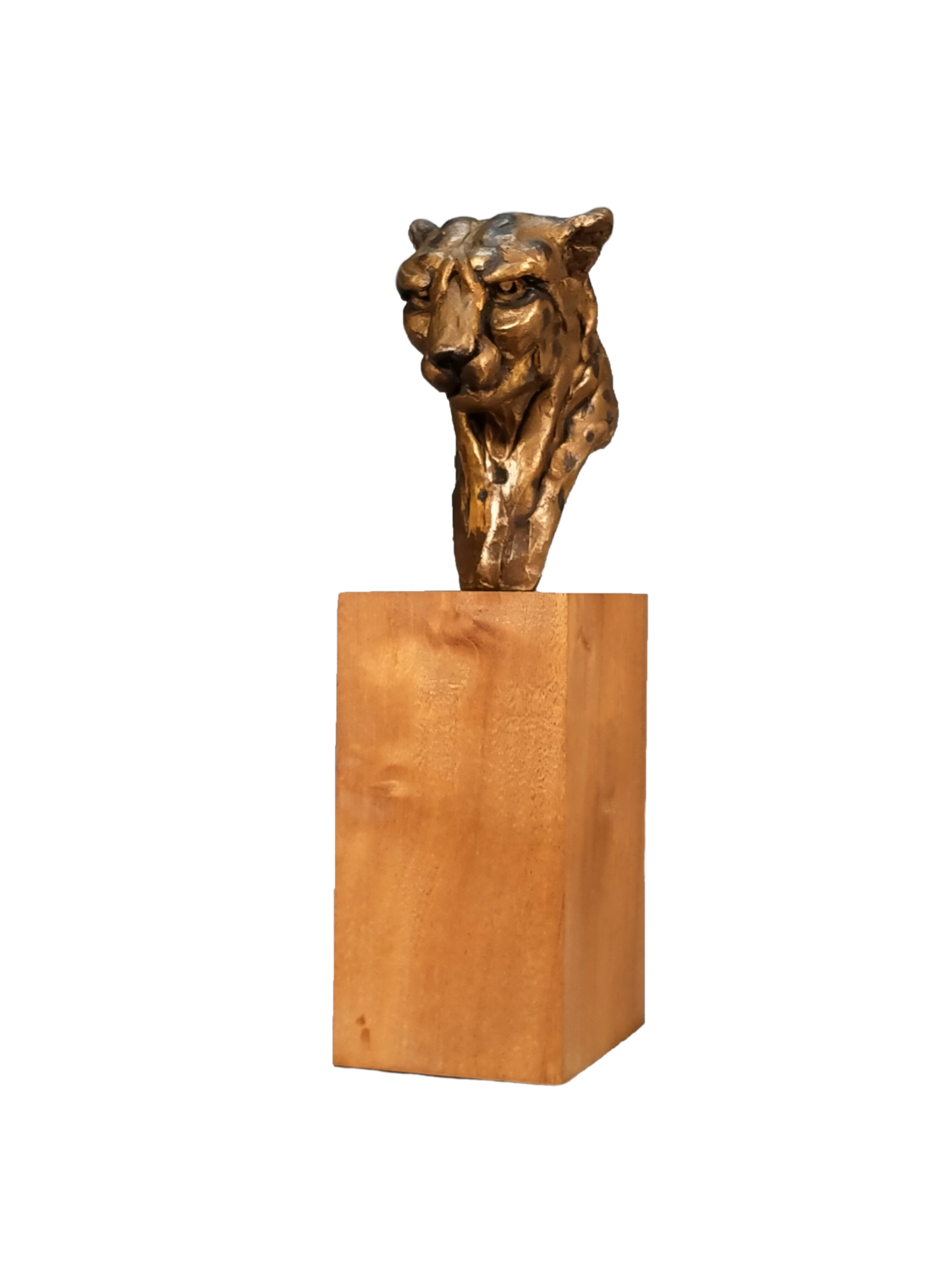 Ingulule by José Miguel Pino (2021) : Sculpture Bronze, Wood - Singulart