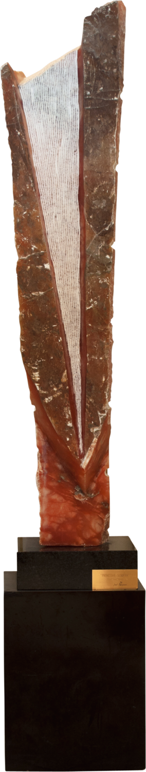 SINGULART のアートワークを購入する アーティストにインスピレーションを得た Roger Ackling - 1ページ