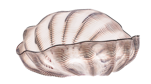 Dale Chihuly Large Hand-Blown Glass 20” Signed Ivory Red Seaform with ...