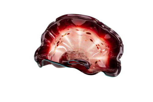 Dale Chihuly 1986 Large Signed Glass Oxblood Seaform Pair with ...