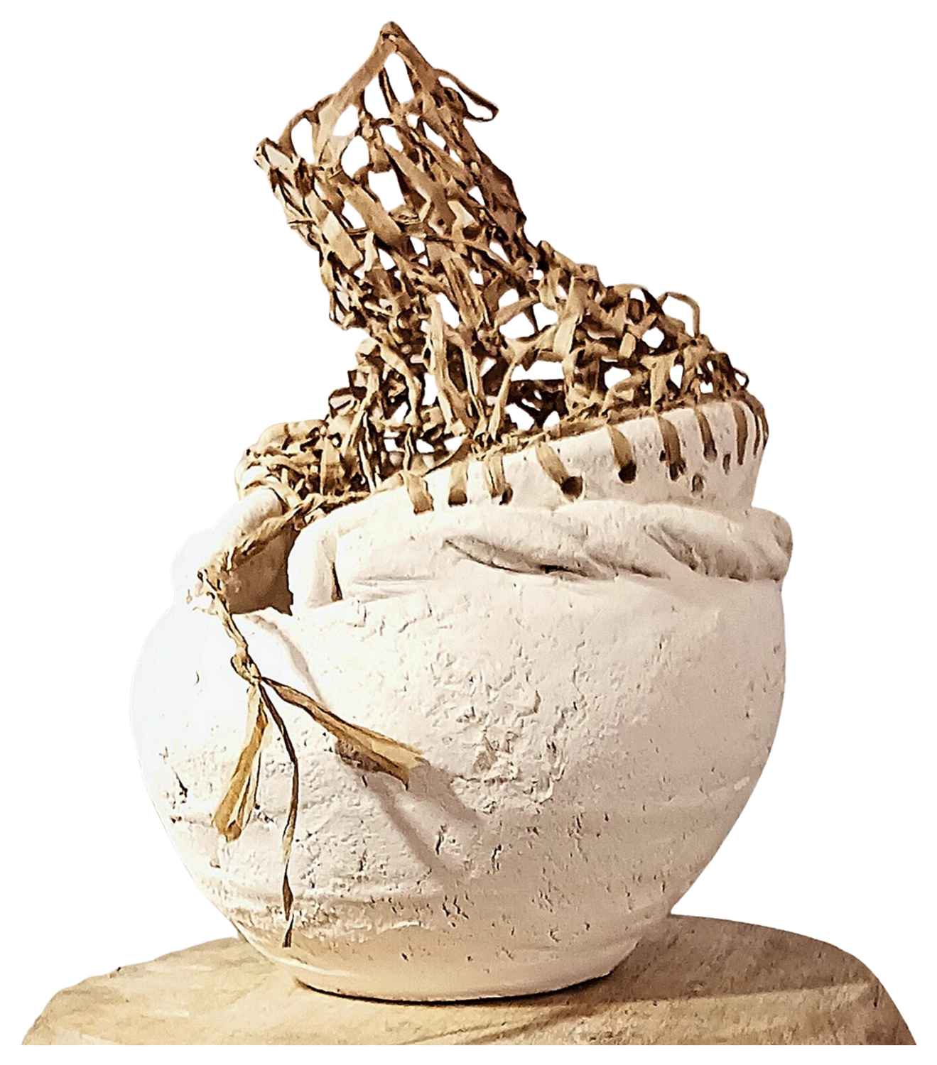 New & Notable January